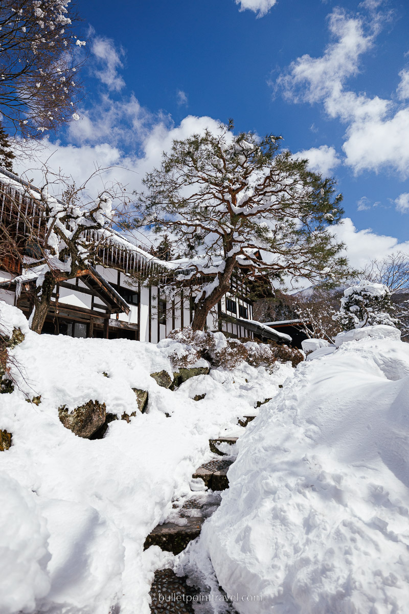 Snow Monkeys in Hot Springs In Japan - Ultimate Travel Guide