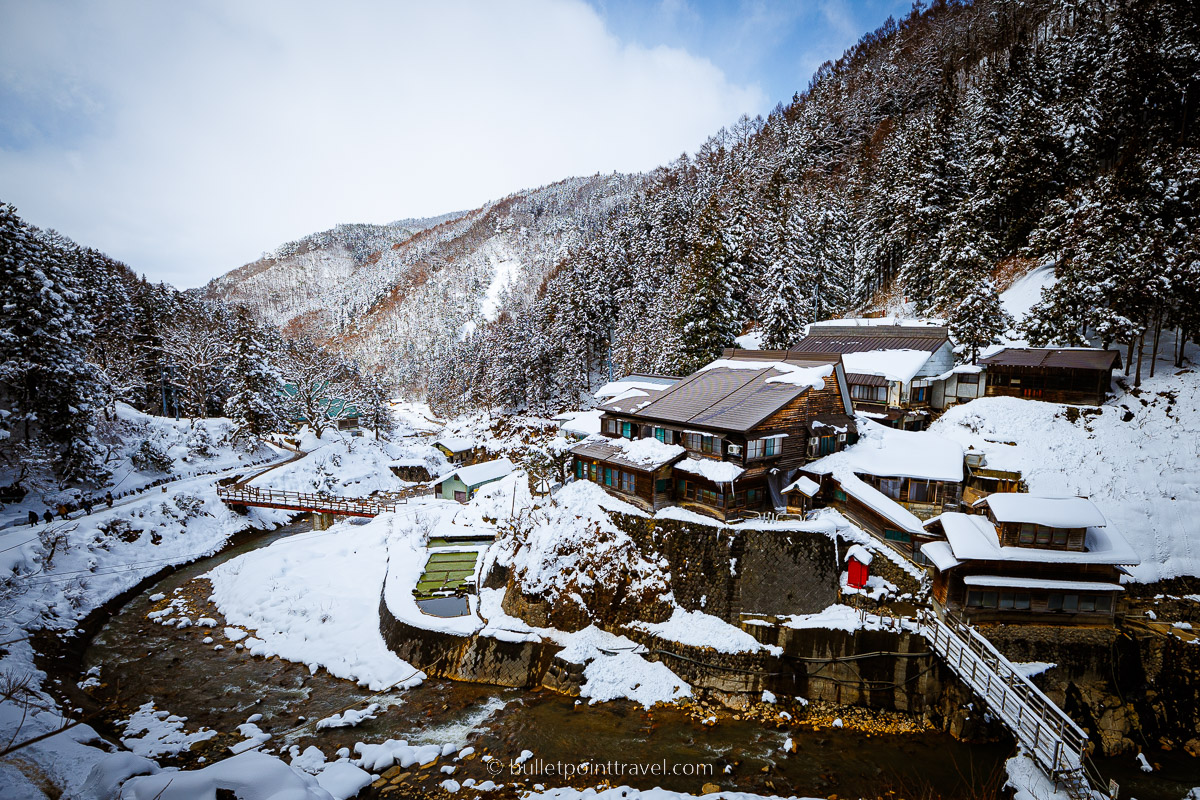 Snow Monkeys in Hot Springs In Japan - Ultimate Travel Guide